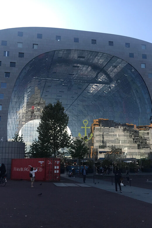 From Amsterdam: Day Tour to Rotterdam, Delft and The Hague - Authentic Experiences From Travelers