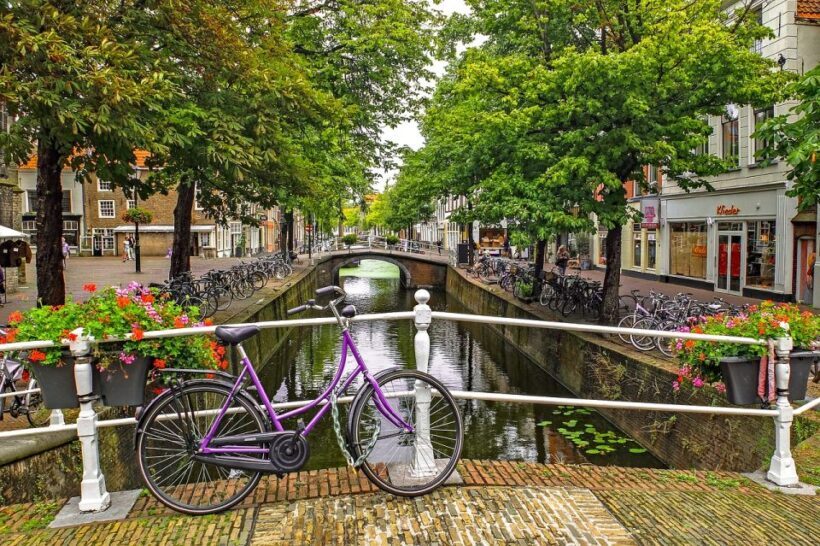 From Amsterdam: Delft and The Hague Private Tour - An Overview of the Experience