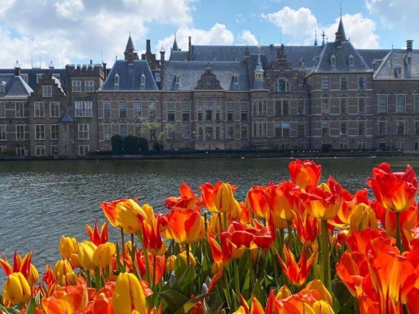 From Amsterdam: Guided Trip to Rotterdam, Delft & The Hague - The Itinerary in Detail: What to Expect