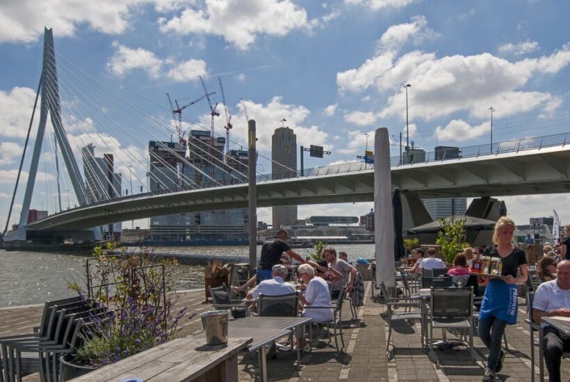 From Amsterdam: Guided Trip to Rotterdam, Delft & The Hague - Practical Tips for Your Day