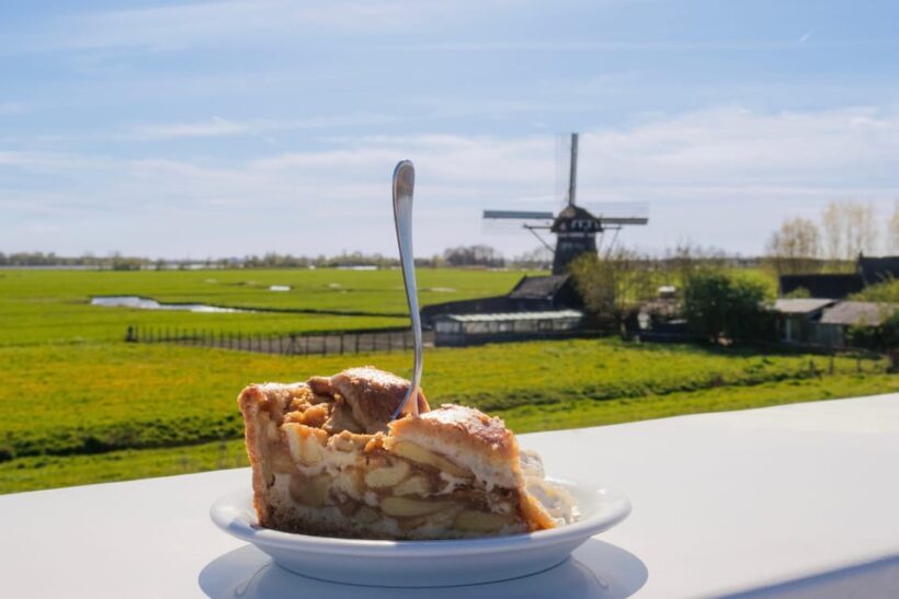 From Amsterdam: Holland Flower and Windmill Tour - summer ed - Analyzing Value and Practicalities