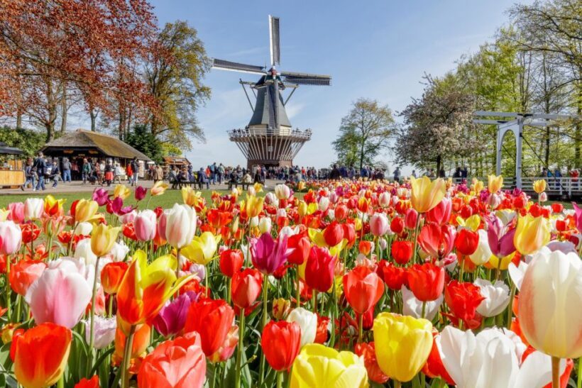 From Amsterdam: Keukenhof and Dutch Countryside Tour - FAQs