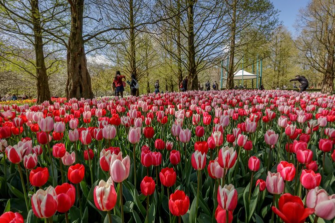 From Amsterdam: Keukenhof Flower Gardens Ticket and Transfer - Additional Information and Accessibility