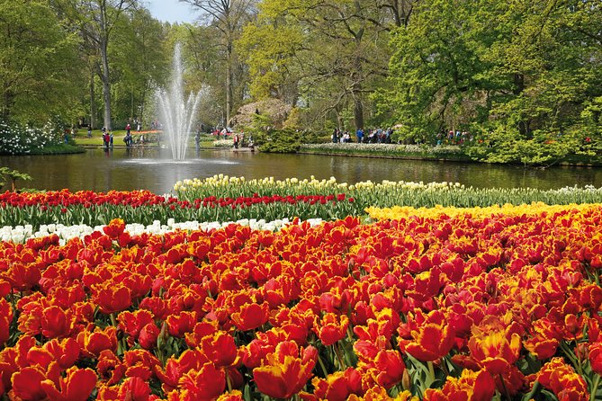 From Amsterdam: Keukenhof Flower Gardens Ticket and Transfer - Highlights of Keukenhof Gardens