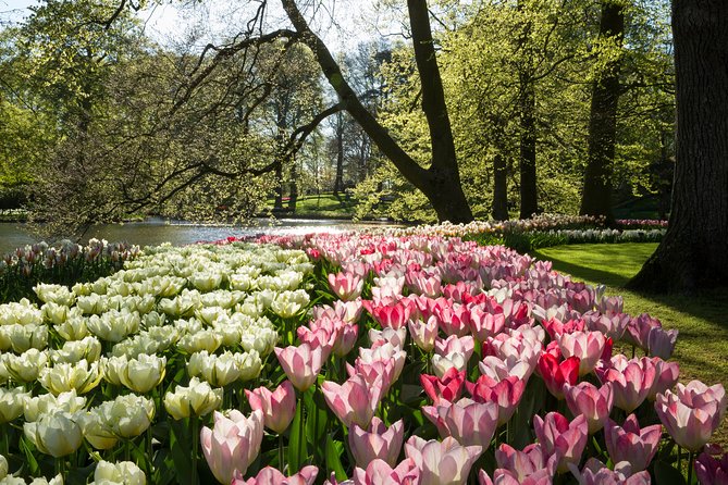 From Amsterdam: Keukenhof Flower Gardens Ticket and Transfer - Getting the Most Out of Your Visit