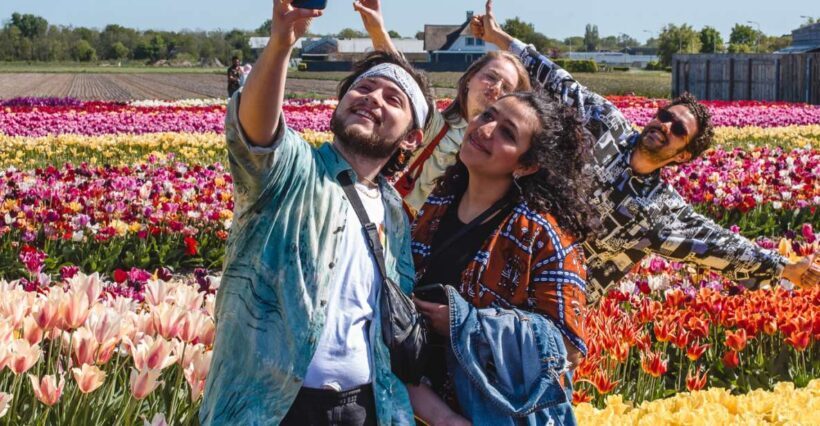 From Amsterdam: Keukenhof Gardens & Tulip Experience Tour - Key Points