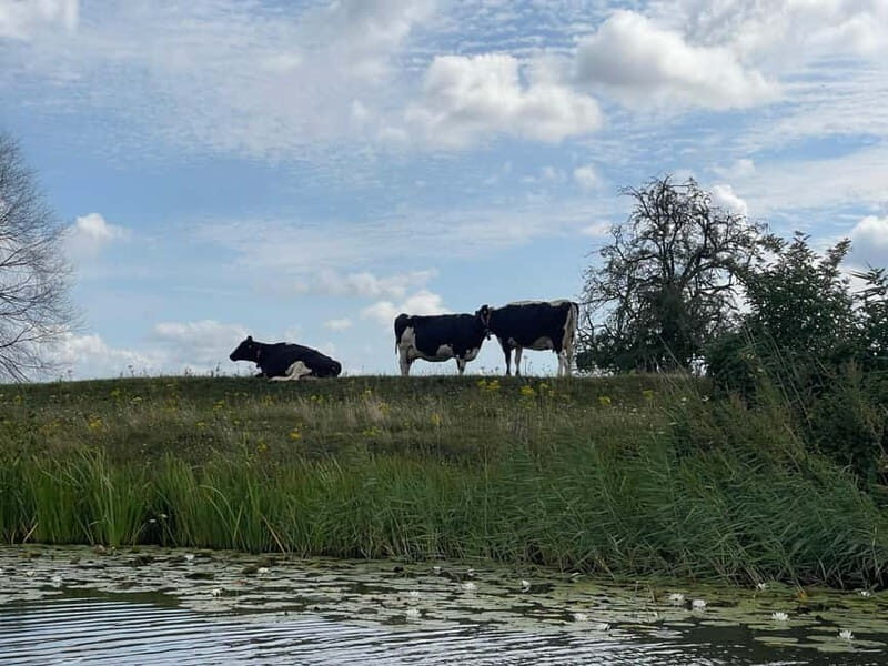 From Amsterdam: Private Car Tour to Giethoorn and Blokzijl - Who Is This Tour Best For?