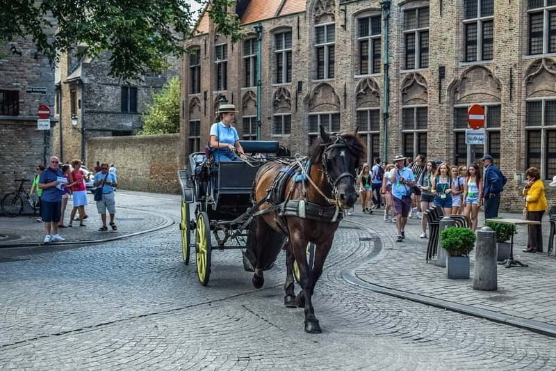 From Amsterdam: Private Sightseeing Tour to Bruges - A Detailed Look at the Experience