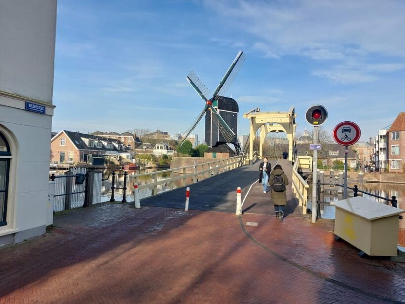 From Amsterdam: The Hague and Leiden Private Half-Day Tour - Who Is This Tour Best For?