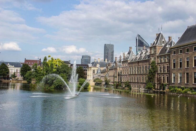 From Amsterdam: The Hague Private Trip and Mauritshuis Entry - An In-Depth Look at the Experience