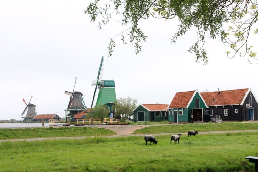 From Amsterdam: Windmills of Zaanse Schans Tour in Spanish - Who Should Consider This Tour?