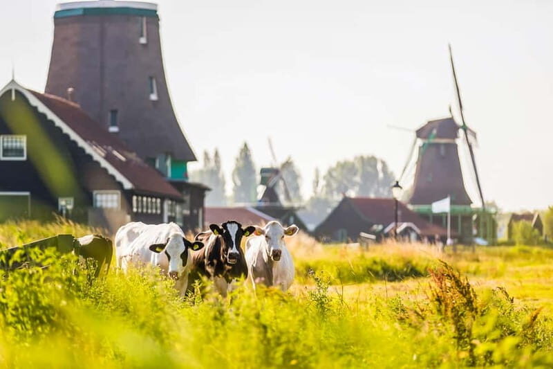 From Amsterdam: Zaanse Schans, Volendam, and Marken Day Trip - Pricing and Value