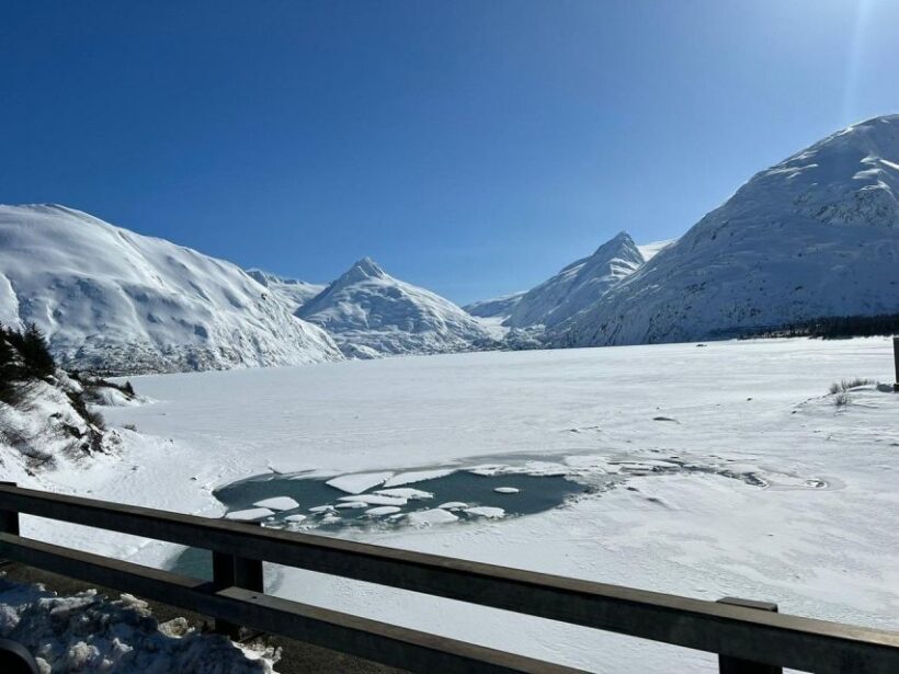From Anchorage: Alaska Wildlife Center & Turnagain Arm Tour - What to Expect: Practicalities and Experiences