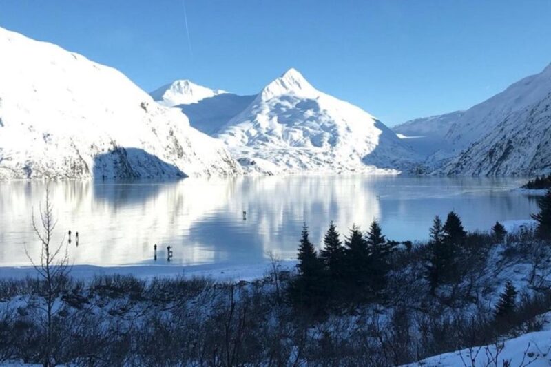 From Anchorage: Alaska Wildlife Center & Turnagain Arm Tour - Portage Valley: Glaciers, Rainforest, and Mountain Majesty
