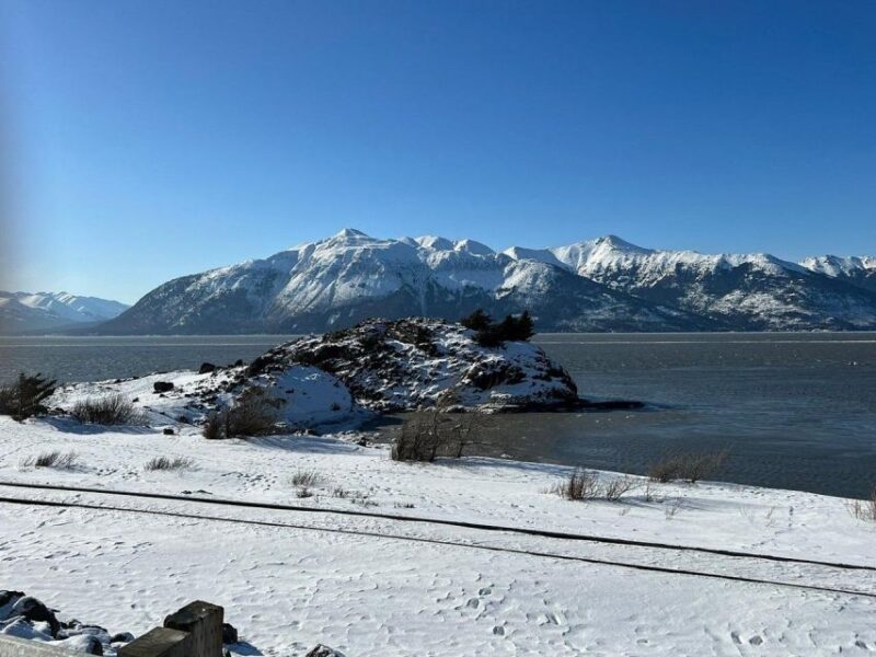 From Anchorage: Alaska Wildlife Center & Turnagain Arm Tour - Authenticity and Audience Fit
