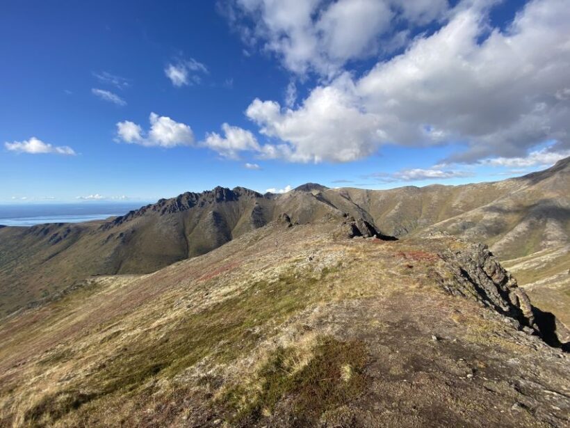 From Anchorage: Chugach State Park Guided Alpine Trek - The Guides and Their Knowledge