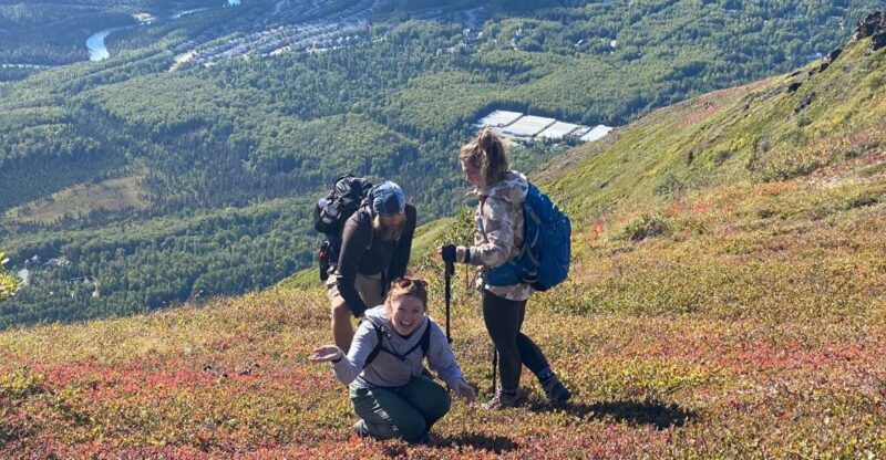 From Anchorage: Chugach State Park Guided Alpine Trek - Transportation and Logistics