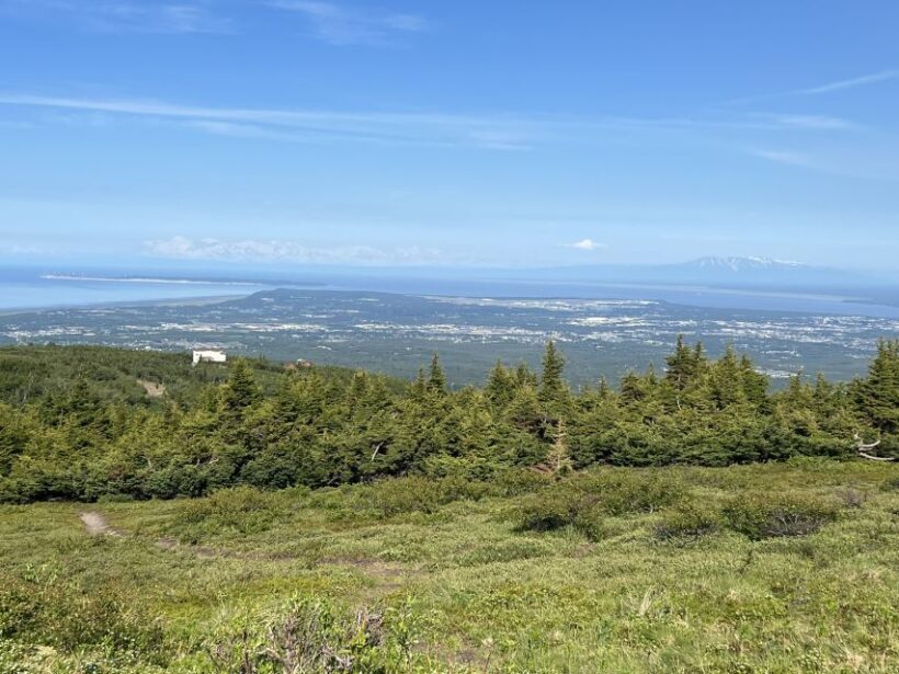 From Anchorage: Chugach State Park Walk with Naturalist - Wildlife and Plant Life