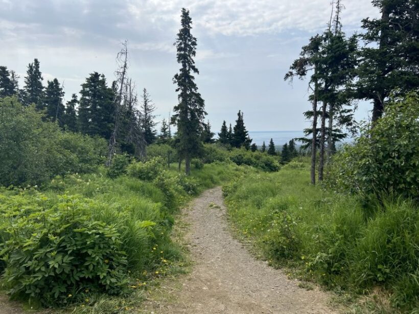 From Anchorage: Chugach State Park Walk with Naturalist - Frequently Asked Questions
