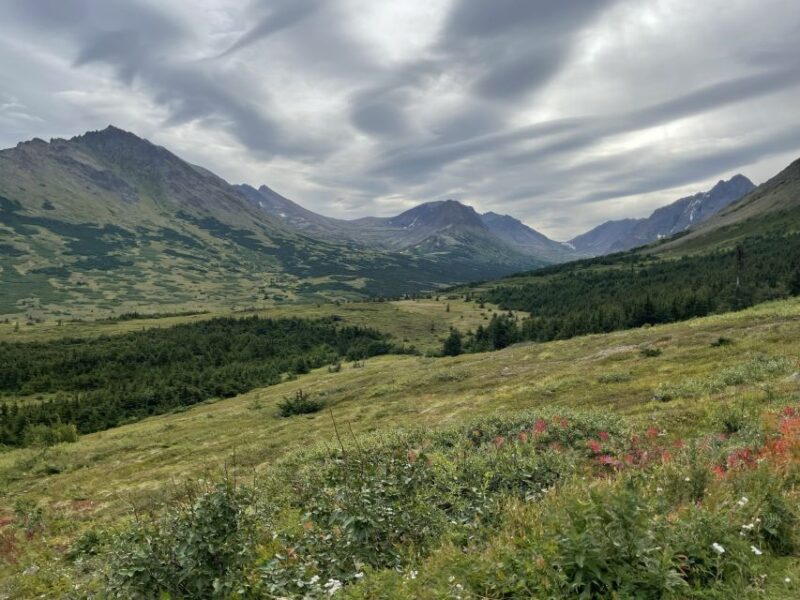 From Anchorage: Chugach State Park Walk with Naturalist - The Verdict: Who Should Consider This Tour?