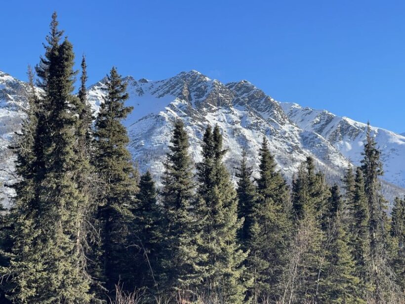 From Anchorage: Chugach State Park Winter Walking Tour - Who Will Love This Tour?