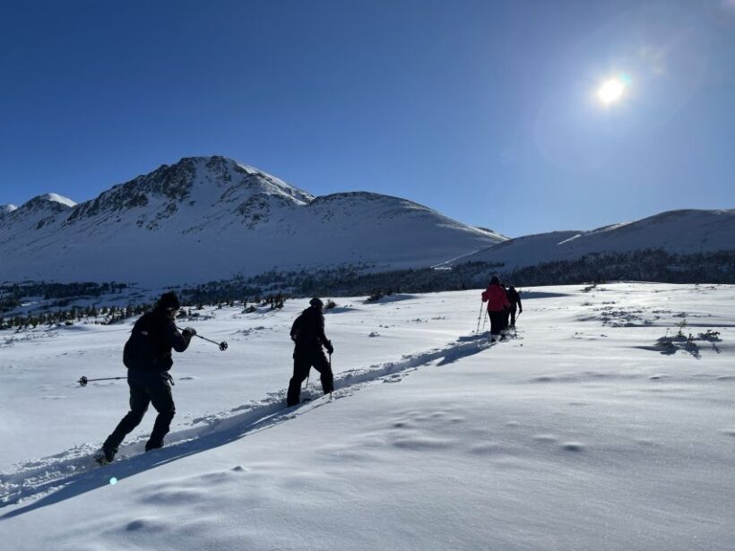 From Anchorage: Glen Alps Beginner's Snowshoeing Adventure - Is This Tour Good Value?