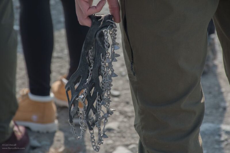 From Anchorage: Matanuska Glacier Full-Day Tour - What the Reviews Say