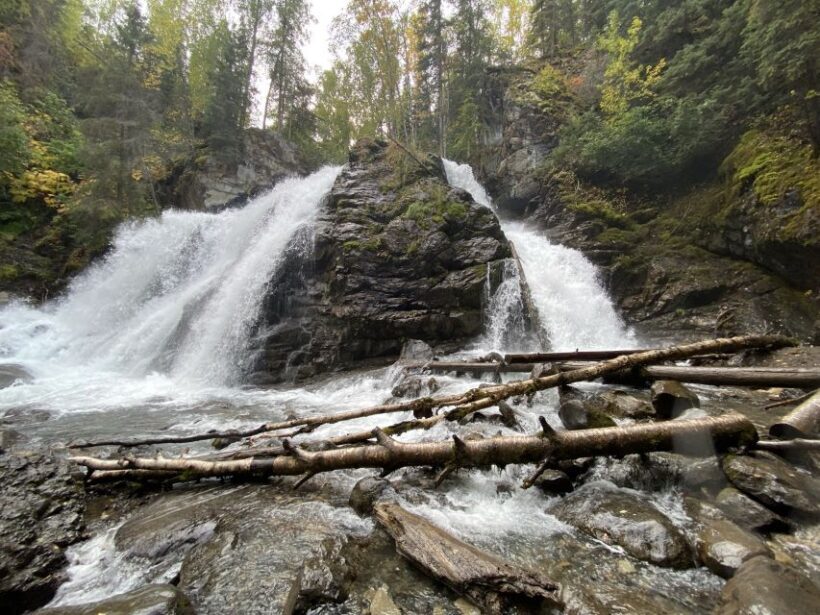 From Anchorage: Valley and Forest Hike with Naturalist Guide - Key Points