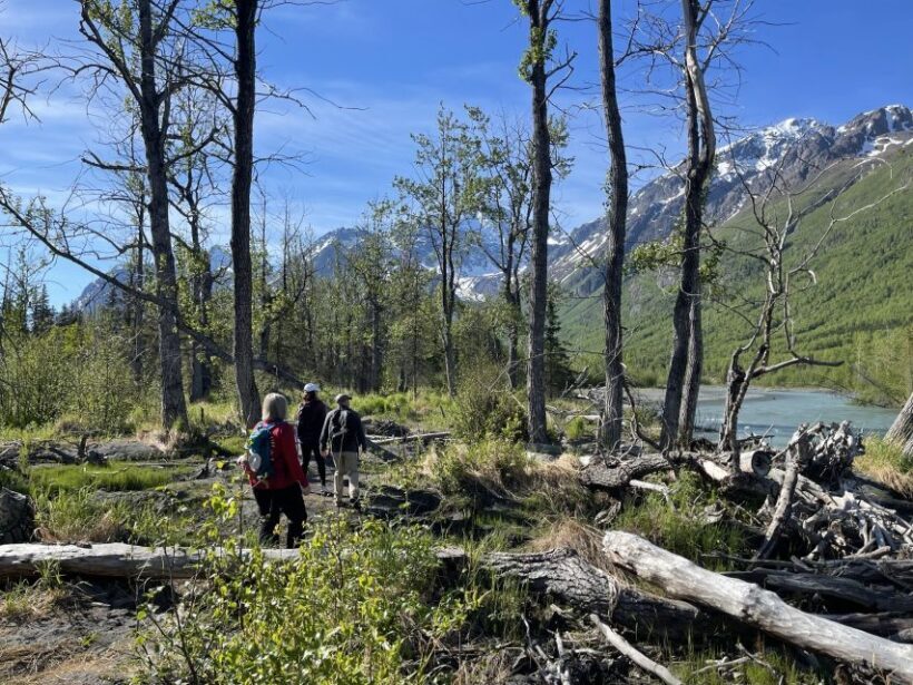 From Anchorage: Valley and Forest Hike with Naturalist Guide - Practicalities and Tips
