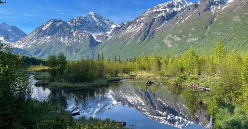 From Anchorage: Valley and Forest Hike with Naturalist Guide - Final Thoughts