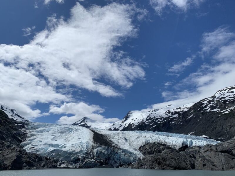 From Anchorage: Valley of Glaciers & Wildlife Center Tour - Glacial Marvels at Portage Valley