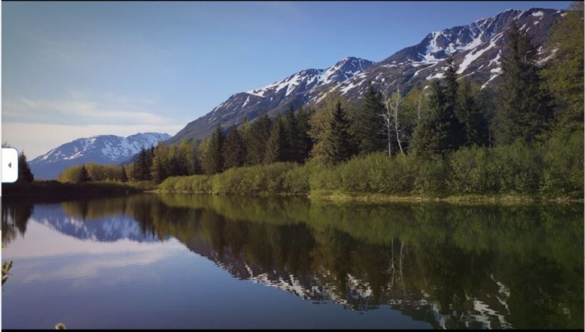 From Anchorage: Wilderness, Wildlife, & Glacier Experience - An Authentic Glimpse of Alaska’s Wilderness