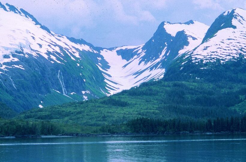 From Anchorage: Wilderness, Wildlife, & Glacier Experience - Wildlife Spotting and Nature Views