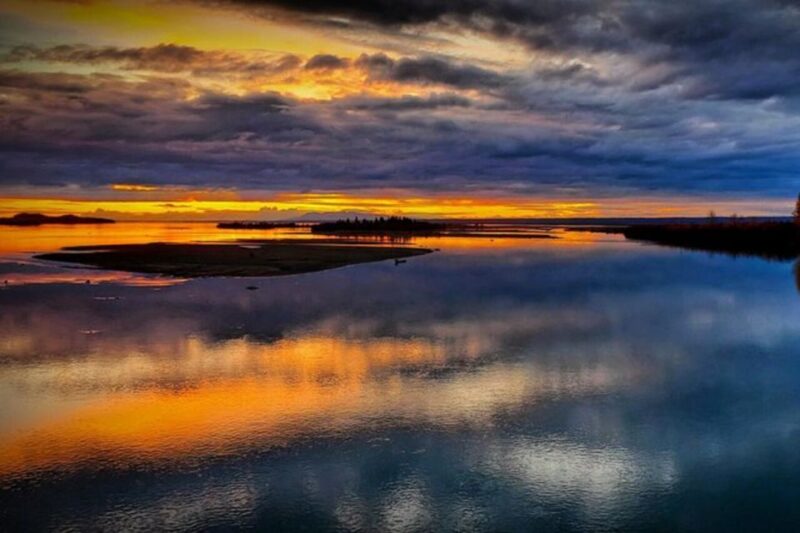 From Anchorage: Wilderness, Wildlife, & Glacier Experience - The Sum Up