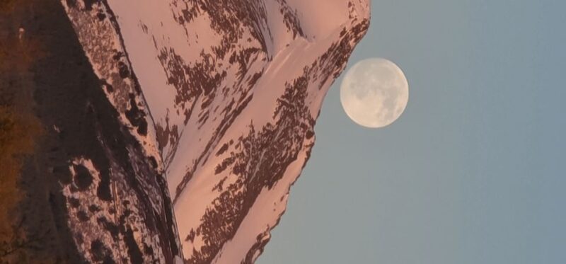 From Anchorage: Wilderness, Wildlife, & Glacier Experience - FAQ