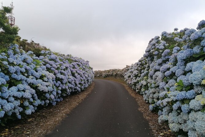 From Angra: Terceira Island Full-Day Jeep Tour - Authentic Experiences and Authenticity