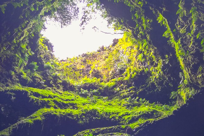 From Angra: Terceira Island Full-Day Jeep Tour - Practical Tips for Travelers