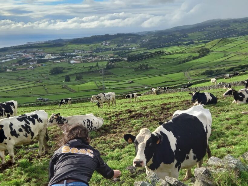 From Angra: Terceira Island Full-Day Jeep Tour (Shared Tour) - Detailed Breakdown of the Experience
