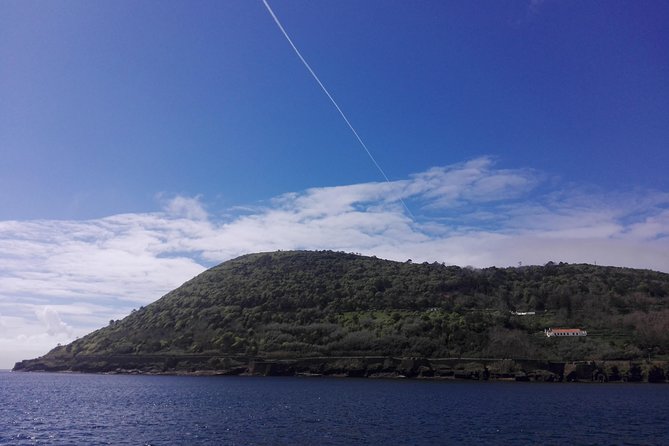 From Angra: Terceira Island Full-Day Tour (Shared Tour) - Additional Considerations