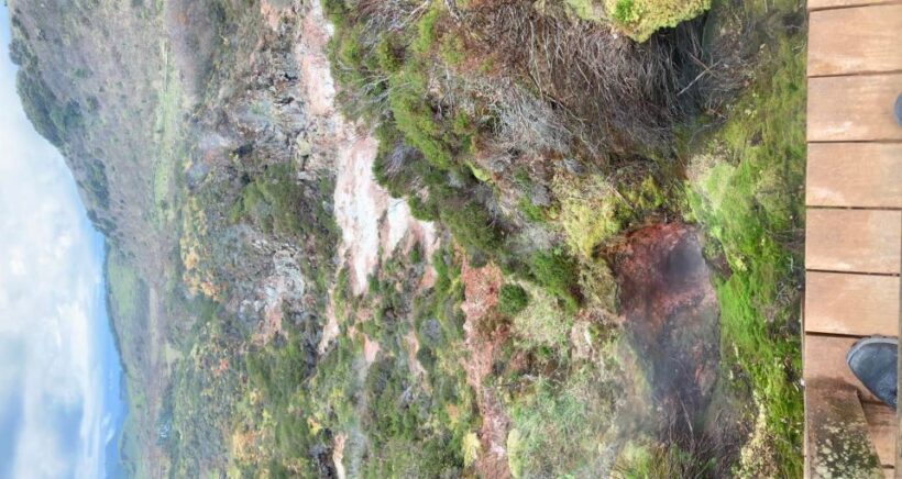 From Angra: Terceira Island Half-Day Geotour (Shared Tour) - Who Should Consider This Tour?