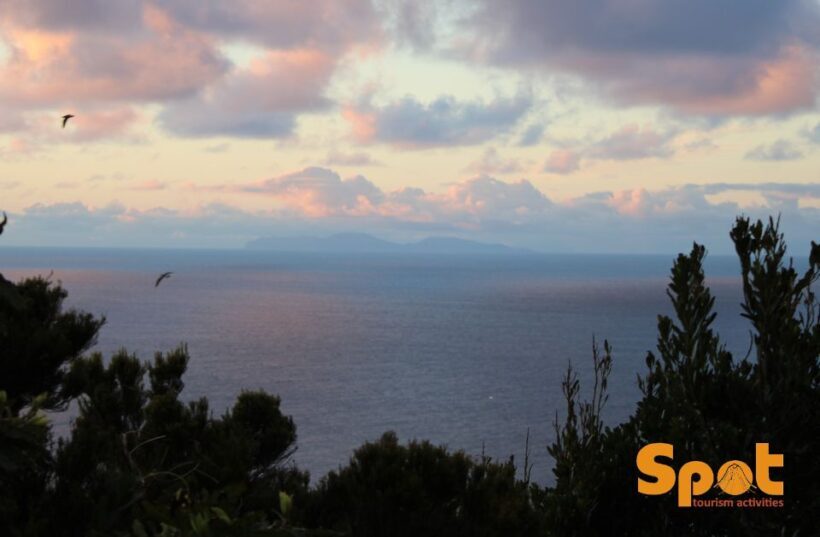 From Angra: Terceira Sunset with Local Products - Final Thoughts