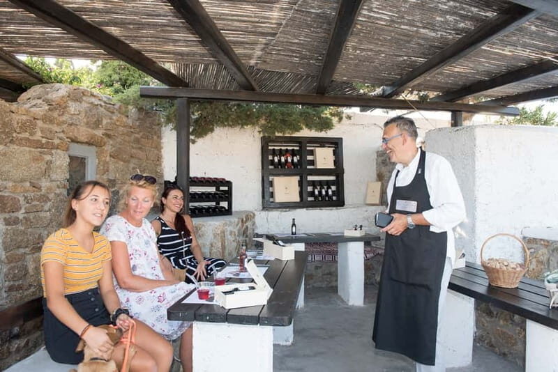 From Ano Mera: Day Tour & Wine Tasting with dinner At A Farm - Who Will Love This Tour?