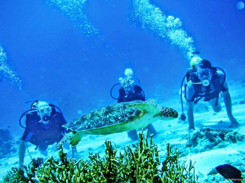 From Antalya| Kemer: Diving Tour with Experienced Instructor - Key Points