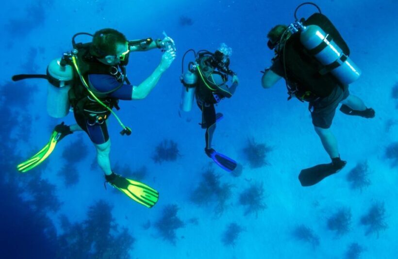 From Antalya| Kemer: Diving Tour with Experienced Instructor - An In-Depth Look at the Tour Itself