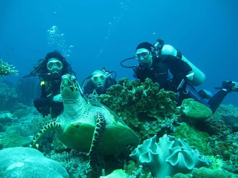 From Antalya: Scuba Diving With Lunch and Transfer - Key Points