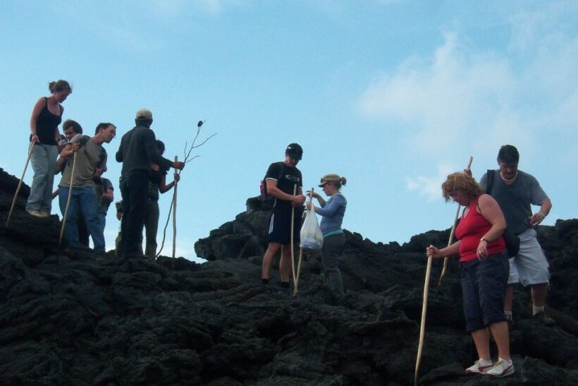 From Antigua: Pacaya Volcano Trek - The Value and Overall Impression