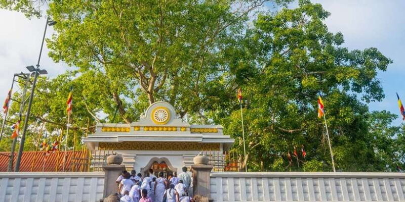 From Anuradhapura: Ancient City of Anuradhapura by Bike - Exploring Anuradhapuras Ancient Wonders by Bike: A Practical Guide