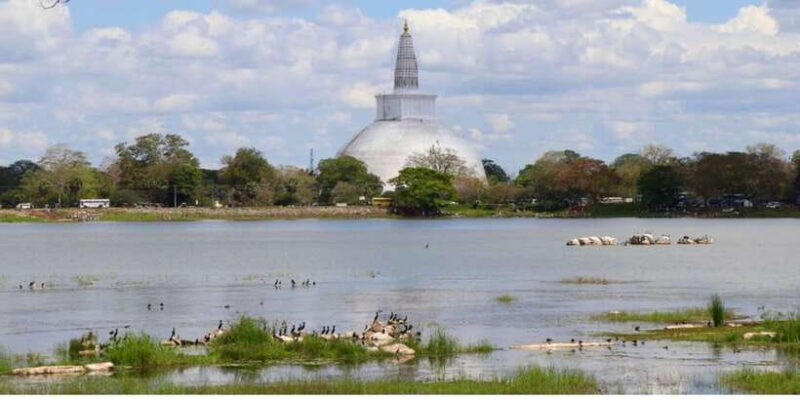 From Anuradhapura: Ancient City of Anuradhapura by Bike - Who Is This Tour Best For?