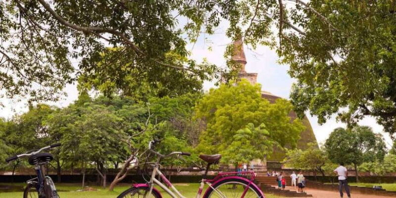 From Anuradhapura: Ancient City of Anuradhapura by Bike - The Sum Up: Is It Worth It?
