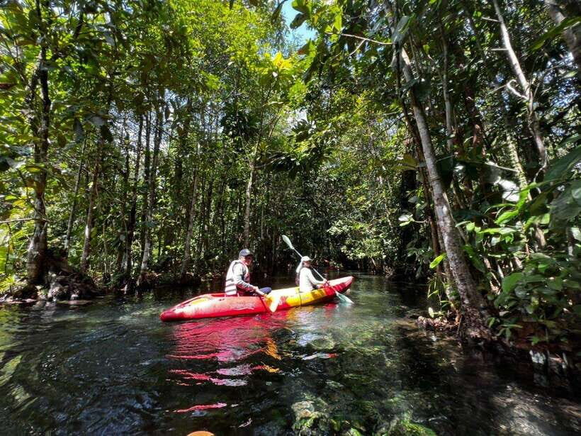 From Ao Nang: Kayaking at Klong Rud with Hotel Transfers - From Ao Nang: Kayaking at Klong Rud with Hotel Transfers – A Detailed Review